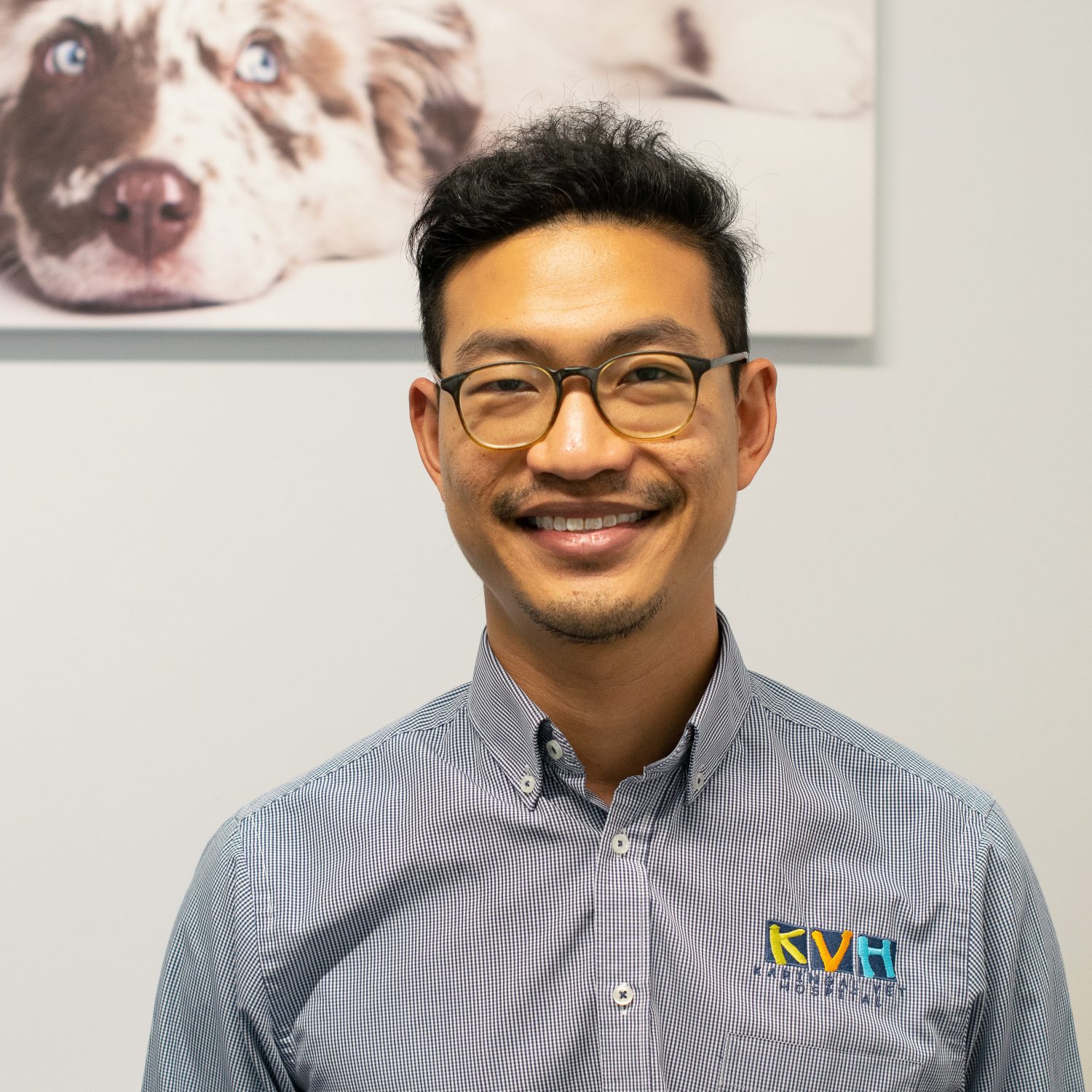 Dr Michael Qiu | Karingal Veterinary Hospital